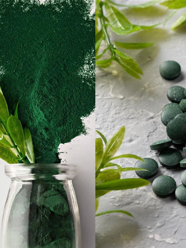 ENERGYbits Algae Products - Cryo-eeze Spring Hill